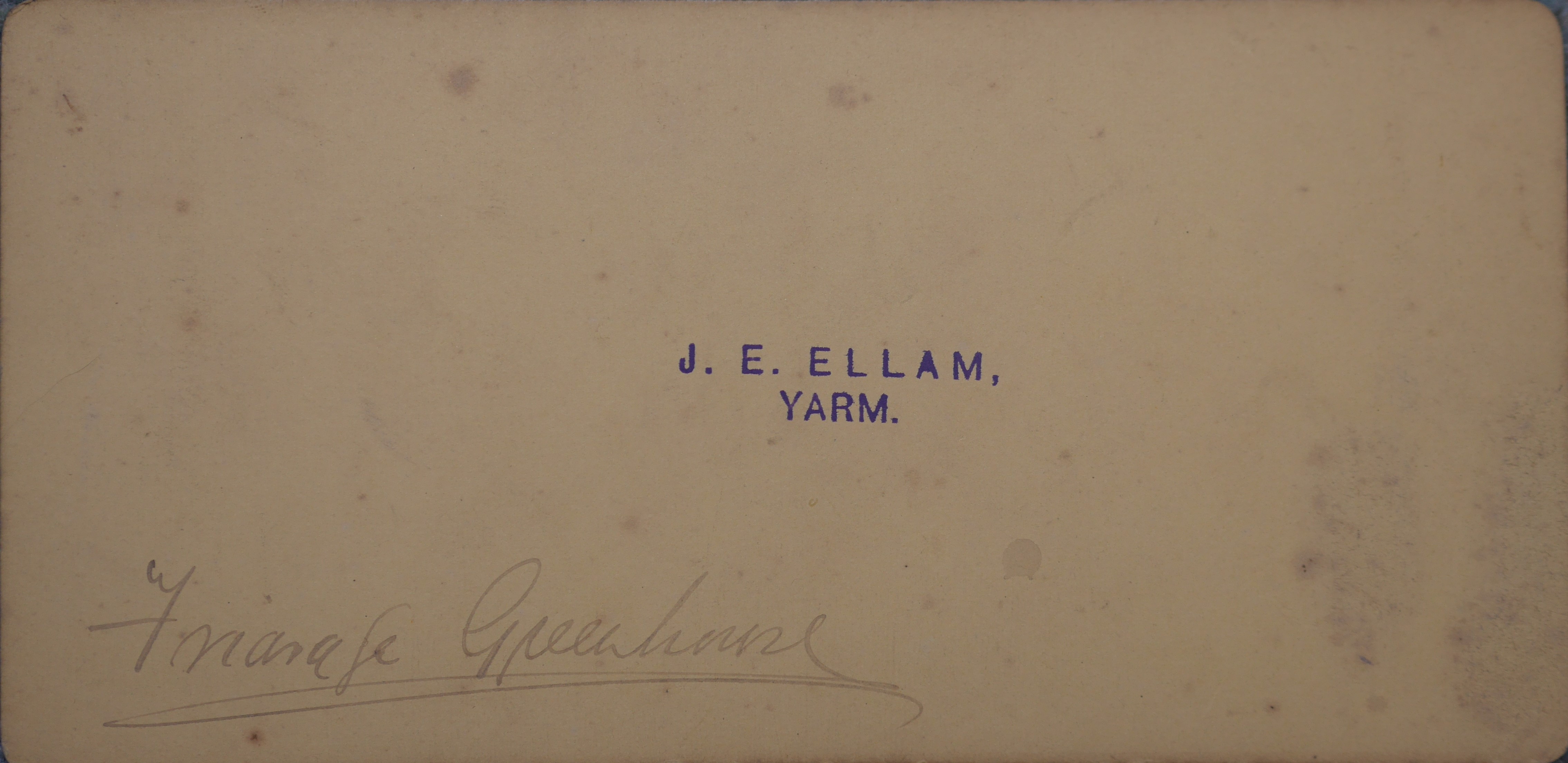 Triangle Greenhouse – Pressphotoman