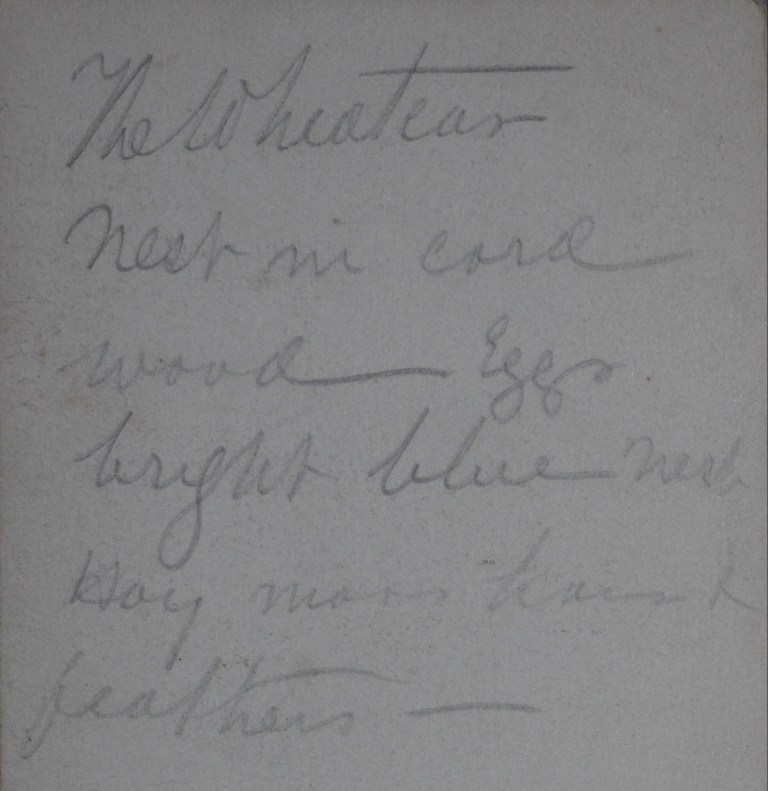 The Wheatear – Pressphotoman